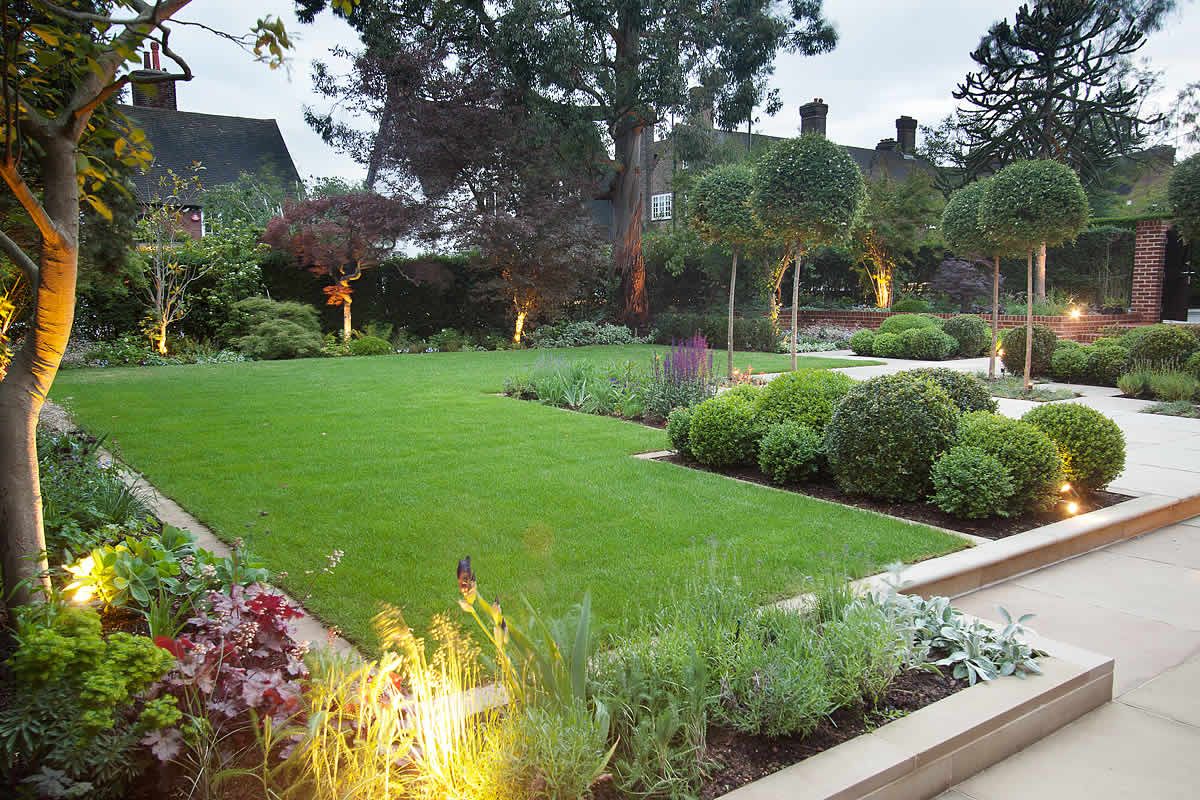 Top 10 beste patio bomen voor weinig onderhoud Landscaping • Carice ...